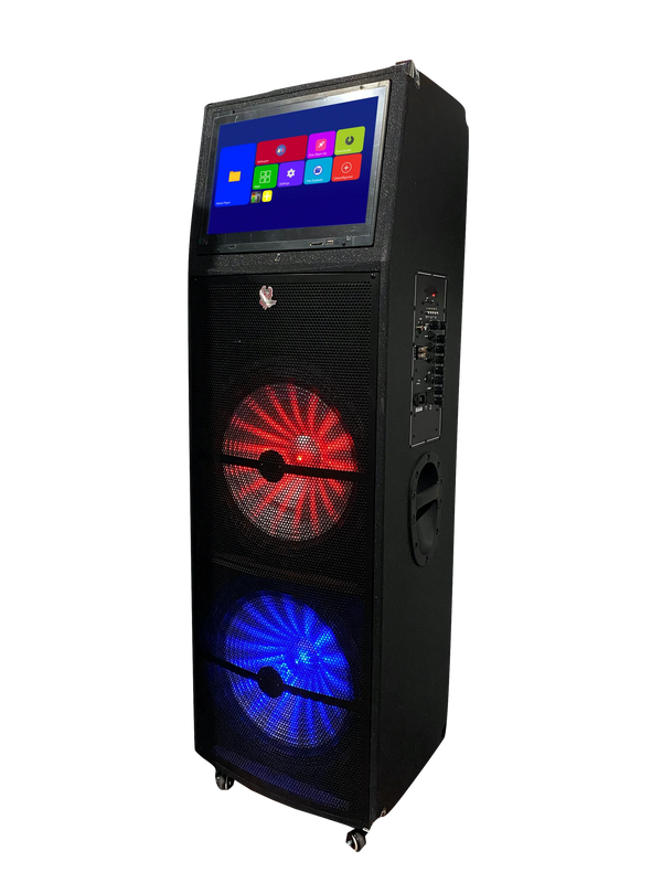 IPHOENIX TECHNOLOGY CORP